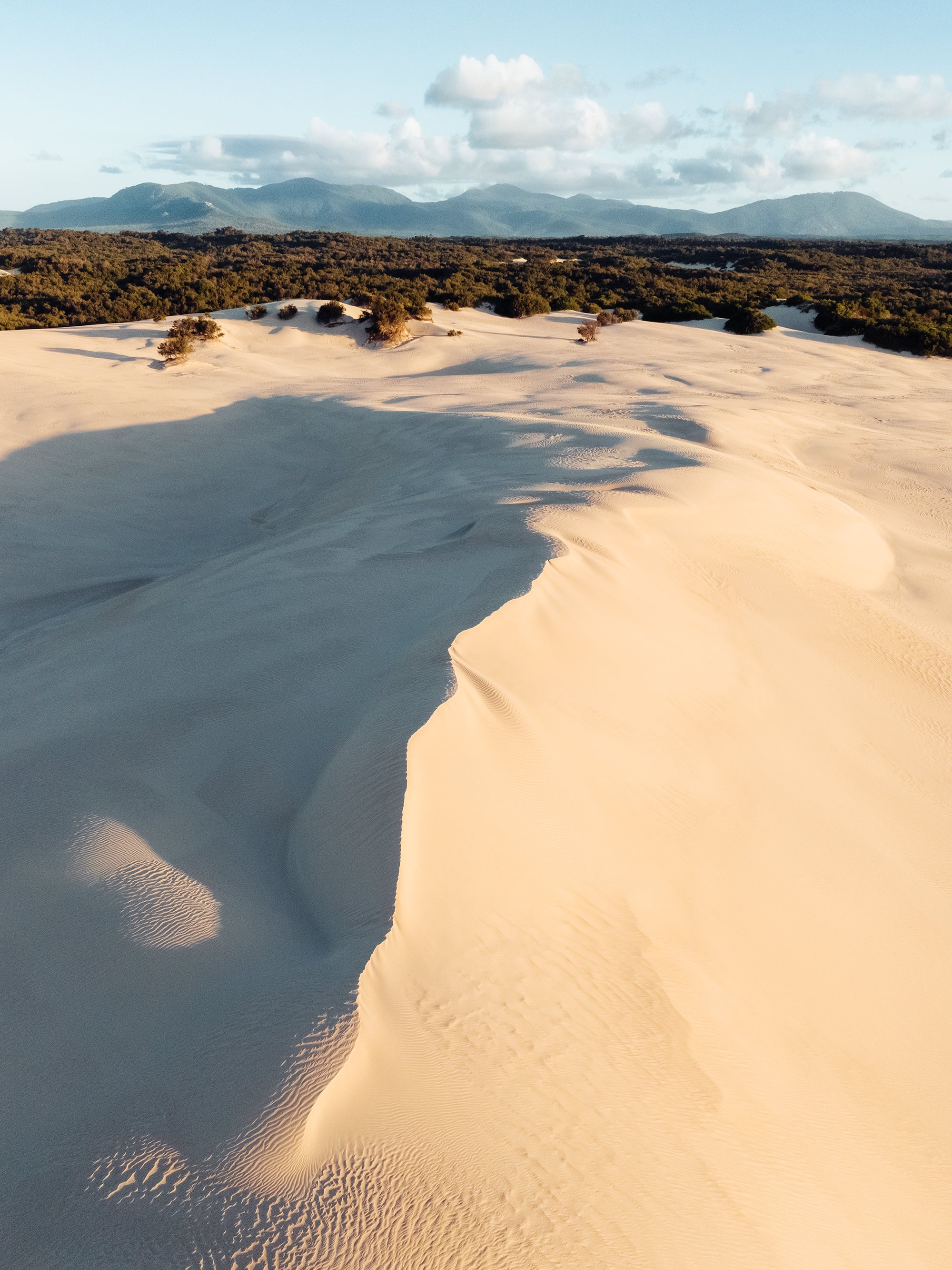 Big Drift, Wilsons Promontory – Landscape Wall Art | FVR0039 – fourbyfiver
