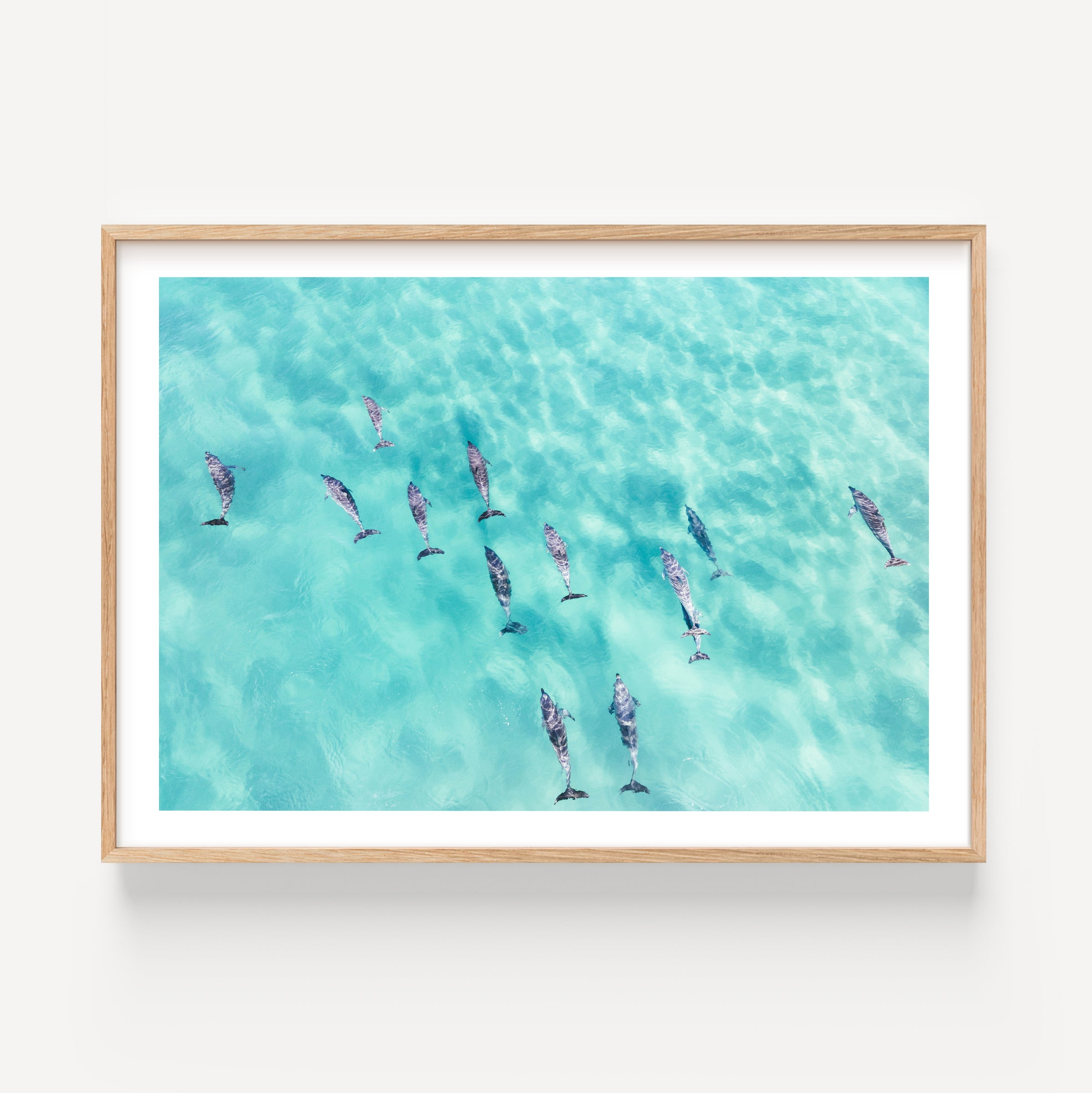 Stradbroke Island, Queensland – Dolphin Pod Coastal Art Print – fourbyfiver